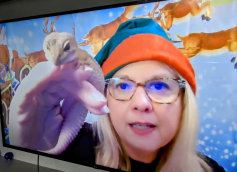 A virtual visit from Zoolab