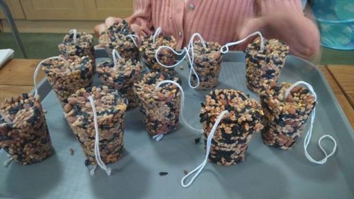 National Bird Box Week