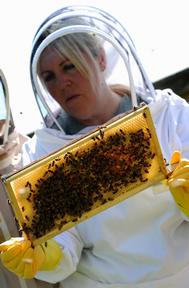 Great British Care Awards 2017 – Tracey Booth