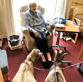 Goats, Deano and Rory visit the residents at Ty Hafod