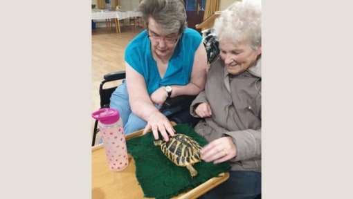 Safari Stu visits Capwell Grange care home