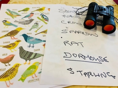 National nest box week