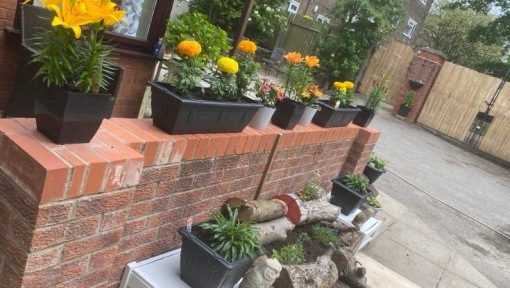 Project pergola at Bellefield Court