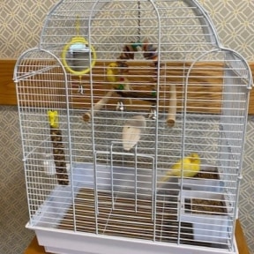 Winifred Dell welcome two flying friends