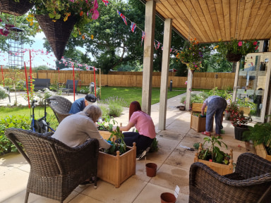 Pottering and planting in the garden