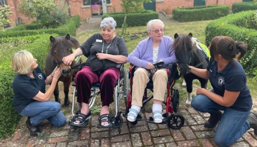 Ponies visit with BBC Look East