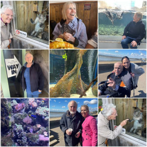 Sherrell House delight in a day of sunshine and sea breeze