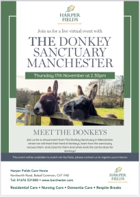 Manchester Donkey Sanctuary Virtual Event