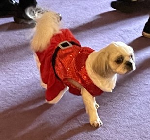 Special thank you To Harper Fields team