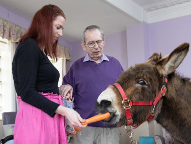 Donkeys visit Friary Care