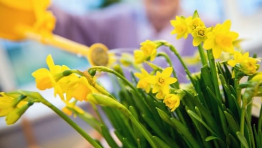 Market Lavington Residents mark the start of spring with poetry