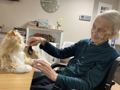 Purr-fect, Pam-purred Pet Therapy Enhances Wellbeing for Carehome Residents