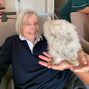 Performing Pets Visit