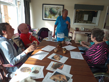 Ryston Rachel's Hedgehog Hotel