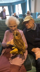Surprise Owl Visit!