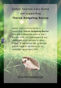 Support for Thorne Hedgehog Rescue