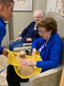 Animal workshops mobile zoo brings joy and cheer