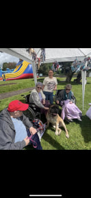 Skewen Dog Show