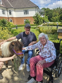 Ponies visit Wadhurst Manor