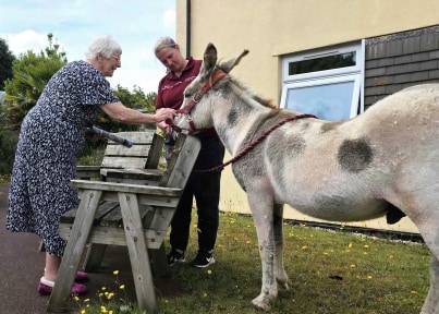 Care home residents enjoy donkey therapy