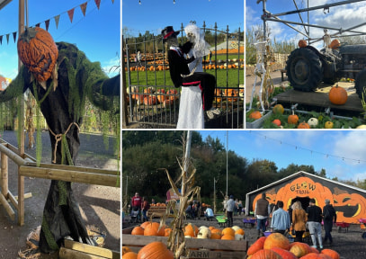 Pumpkin Picking Fun at Sunnyfields!