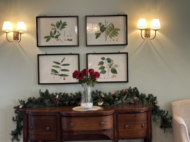 Christmas Respite available