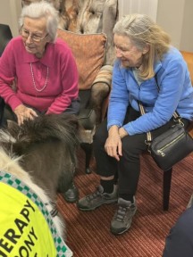 Pixie and Pickles Pet Therapy visit Iris Court