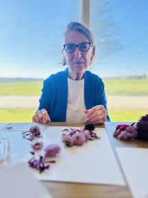 Flower pressing and blue sky Spring walks