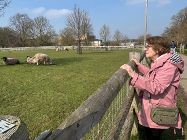 Tallis House Residents Enjoy a Day Out at Harlow Park and Toby Carvery