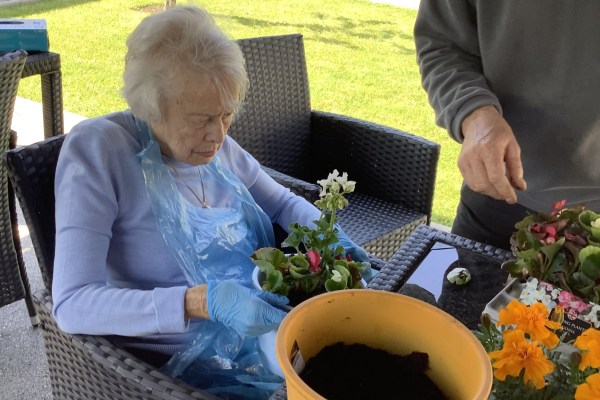 Danesbrook House care home, Cadoc Place, Danescourt, Cardiff CF5 2QN ...