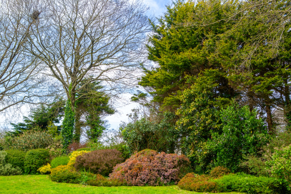 Longview Care Home, Rosehill, Goonhavern, Truro, Cornwall TR4 9JX | 47 ...
