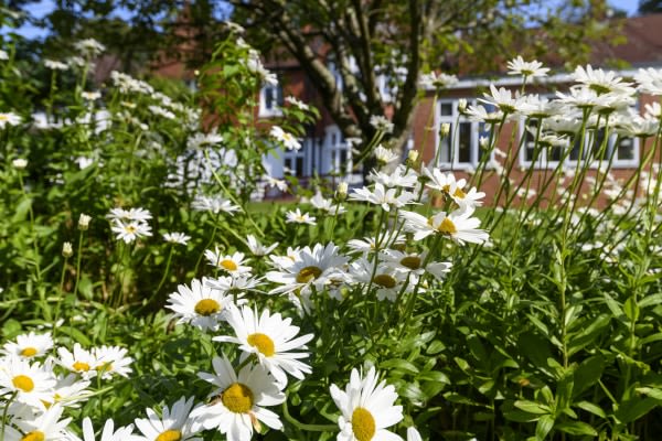 Dunwood Manor care home, Sherfield English, Romsey, Hampshire SO51 6FD ...