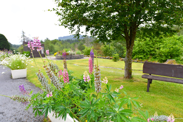 Allt Y Mynydd Nursing Home, Ty Mawr, Llanybydder, Carmarthenshire SA40 ...