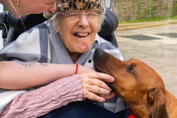 Churchfields care home, Pound Lane, Cassington, Oxon, Witney ...