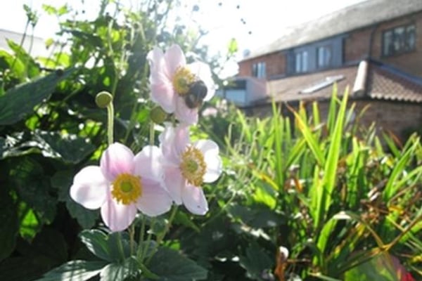 Byars Nursing Home, Caythorpe Road, Caythorpe, Nottingham ...