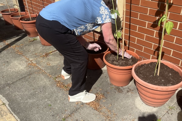 Springfield Care Home, 191 Spendmore Lane, Coppull, Chorley, Lancashire ...