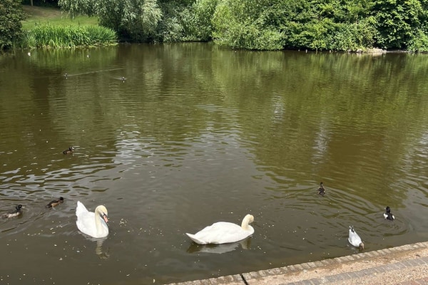 Barchester Friston House Care Home, 414 City Way, Rochester, Kent ME1 ...