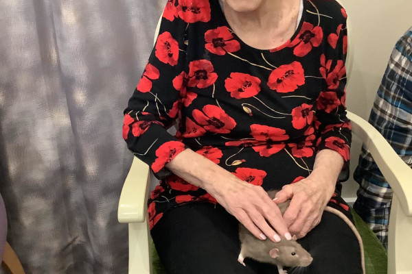 Barchester Friston House Care Home, 414 City Way, Rochester, Kent ME1 ...