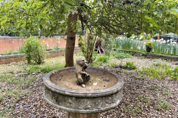 Ashfield House care home, Tamworth Road, Keresley, Coventry, West ...