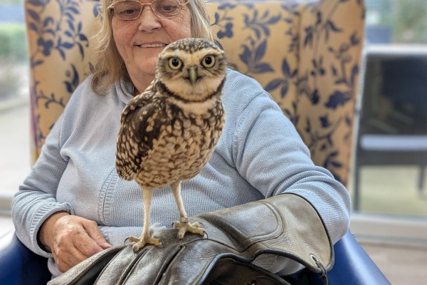 St Stephen's care home, St Stephen's Terrace, Droitwich Road, Worcester ...