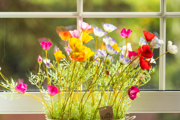 Elmwood care home, 42 Southborough Road, Bickley, Bromley, London BR1 ...