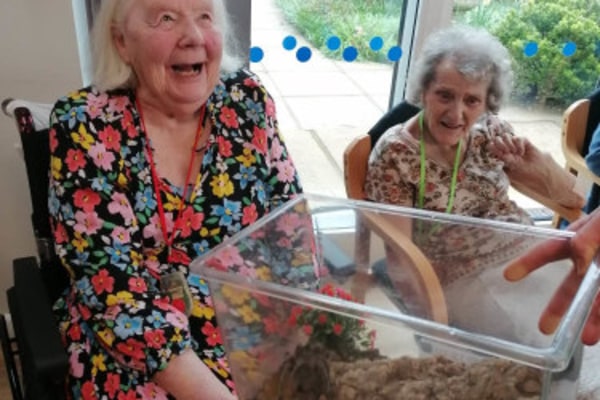 Corton House care home, City Road, Norwich, Norfolk NR1 3AP | 26 Reviews