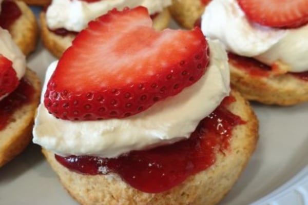 Rose Tree Care Home, Eastgate Bank, Mickley, Stocksfield ...