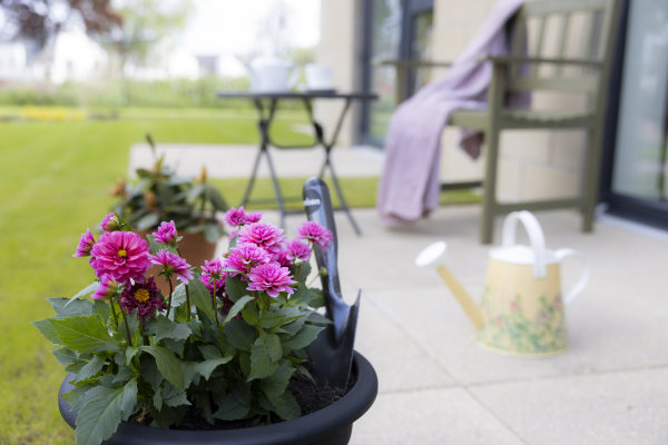 Alexander House Care Home, Hawkins Road, Exeter, Devon EX1 3UW | 27 Reviews