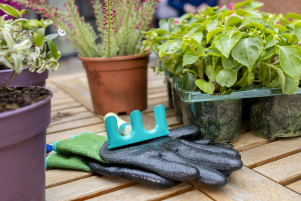 Shoemaker Place care home, The Fillybrooks, Stone, Staffordshire ST15 ...