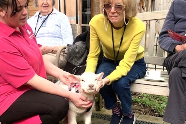 Barchester Silverbirch House Care Home, 19 Tovey Green, Guildford ...