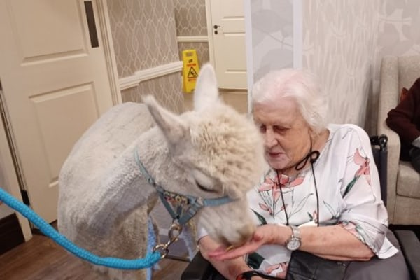 Birchmere House Care Home - Avery Healthcare, 1270 Warwick Road, Knowle ...
