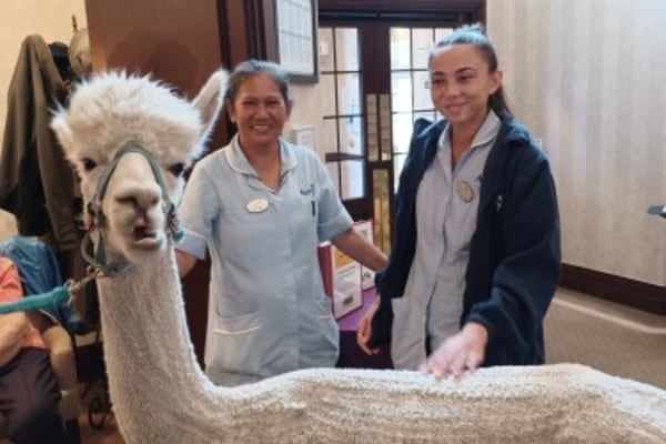 Birchmere House Care Home - Avery Healthcare, 1270 Warwick Road, Knowle ...
