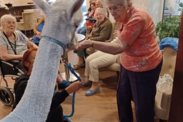 Birchmere House Care Home - Avery Healthcare, 1270 Warwick Road, Knowle ...