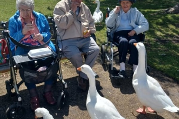 Birchmere House Care Home - Avery Healthcare, 1270 Warwick Road, Knowle ...